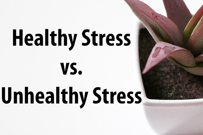 Healthy Stress vs. Unhealthy Stress – The Wordsmith VA